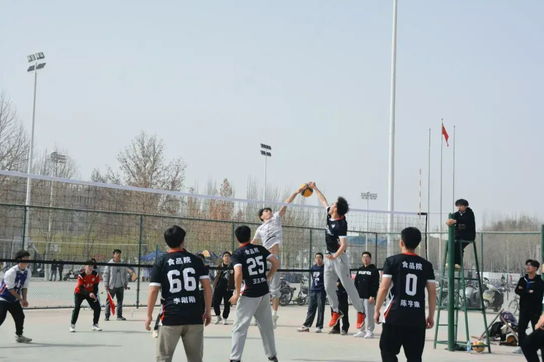 “享受乐趣、增强体质、健全人格、锤炼意志”——塔里木大学第五十届运动会即将开赛-塔里木大学体育工作部